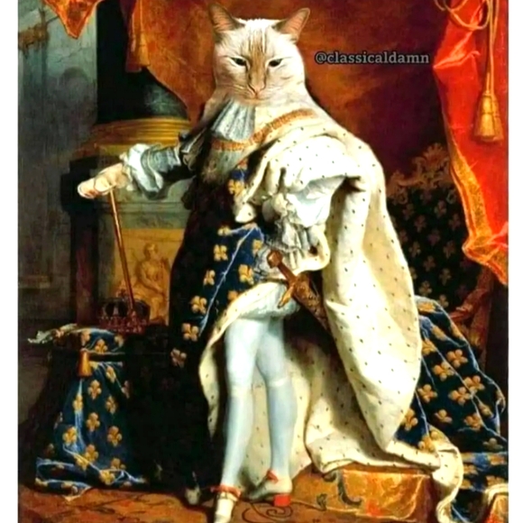 cats meow | Cat | This Poshmark Lady Treatment Is Royalty | Poshmark